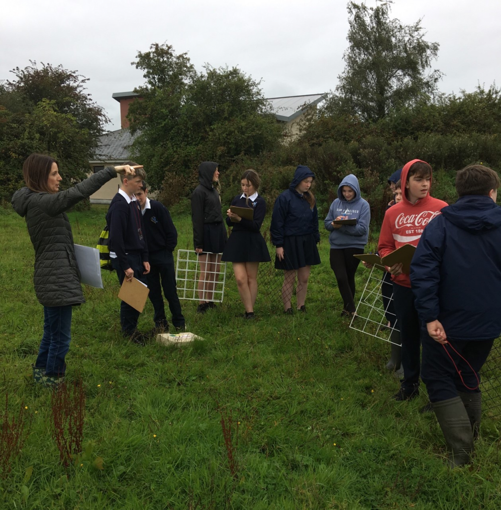 Ecology at Cabragh Wetlands – Nenagh College