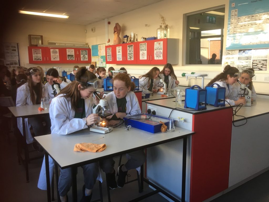 Fisnev partner with Nenagh College for Stem Event – Nenagh College