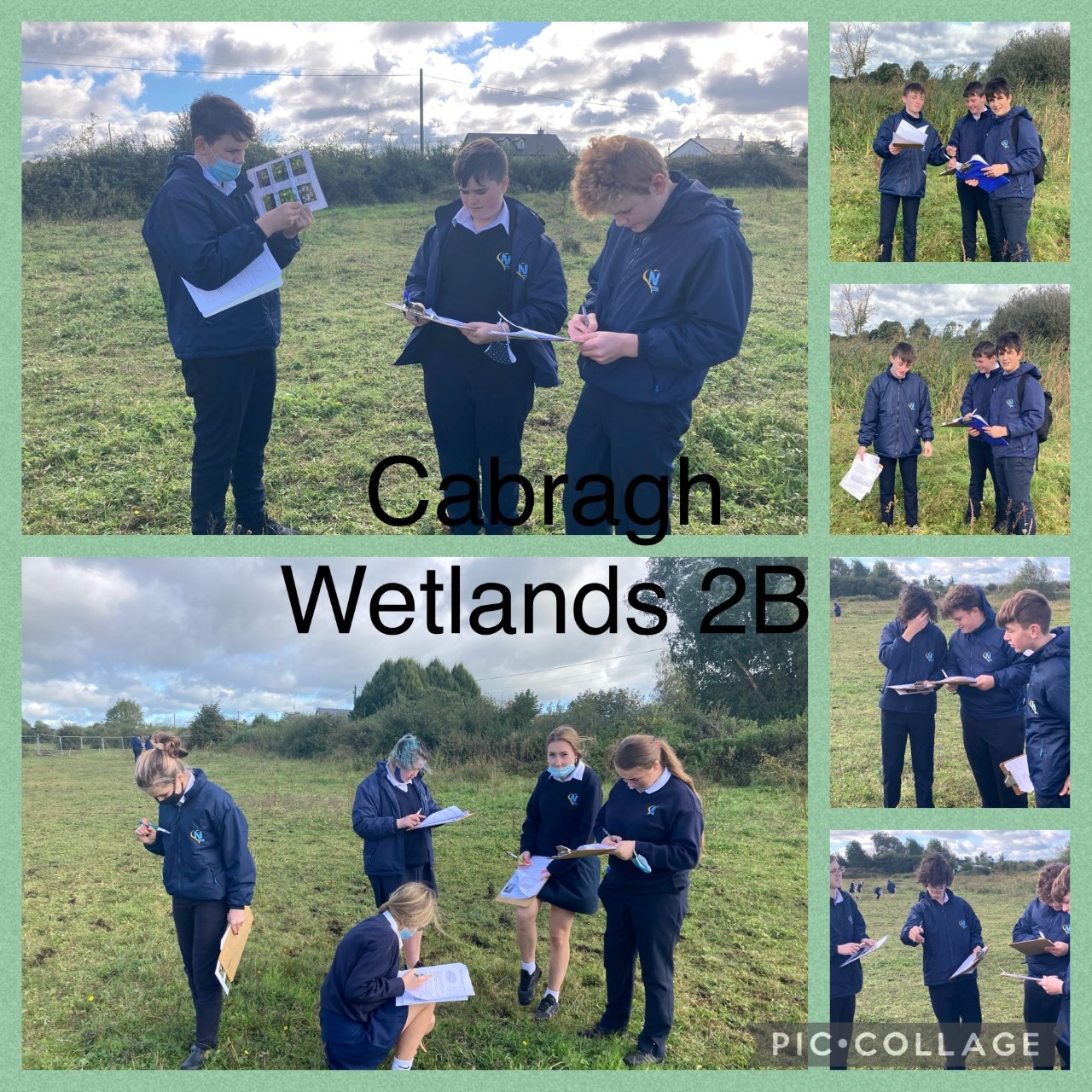 2B on a great Ecology Trip in Cabragh Wetland – Nenagh College