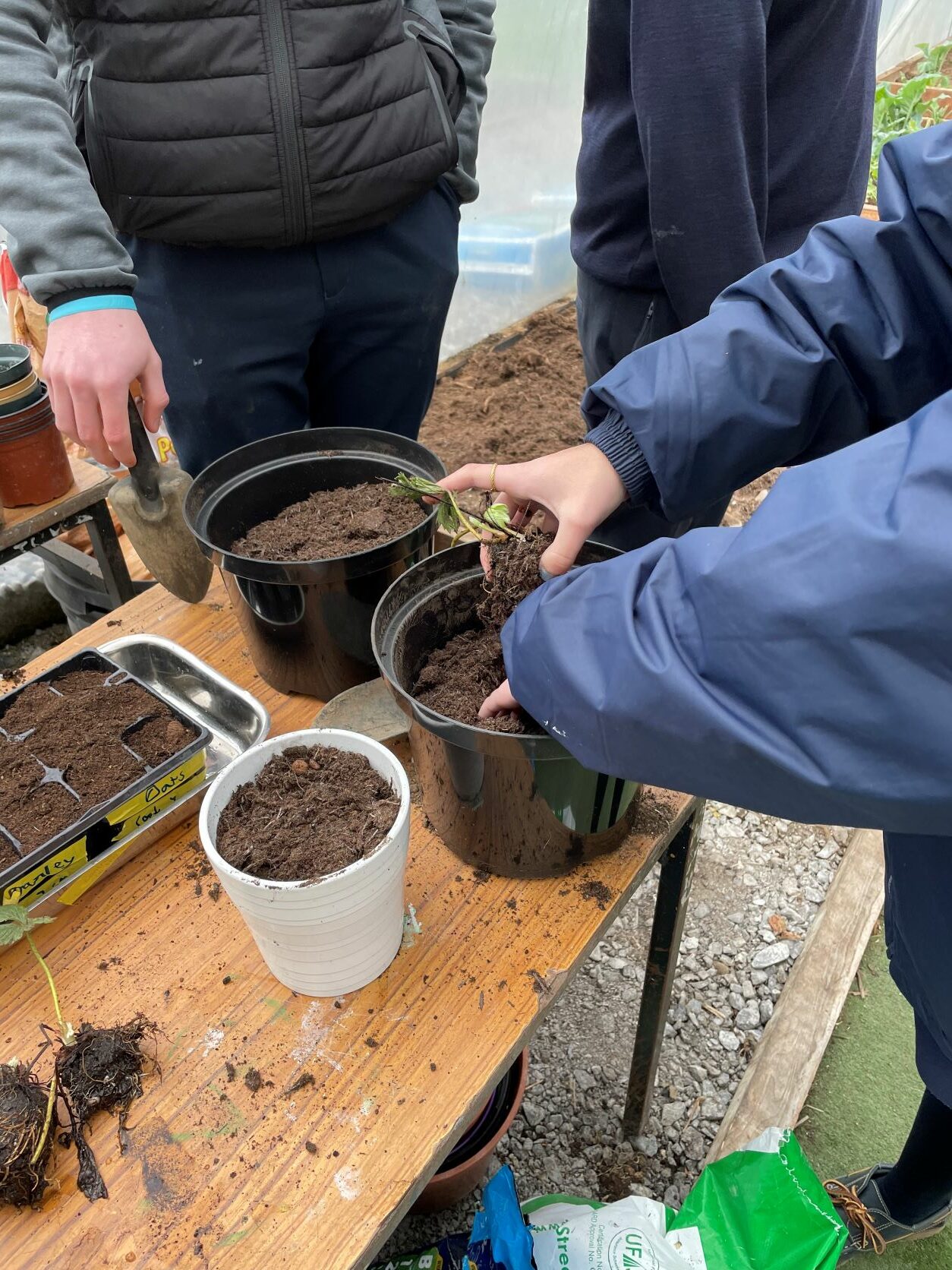 The first signs of spring at Nenagh College!! – Nenagh College