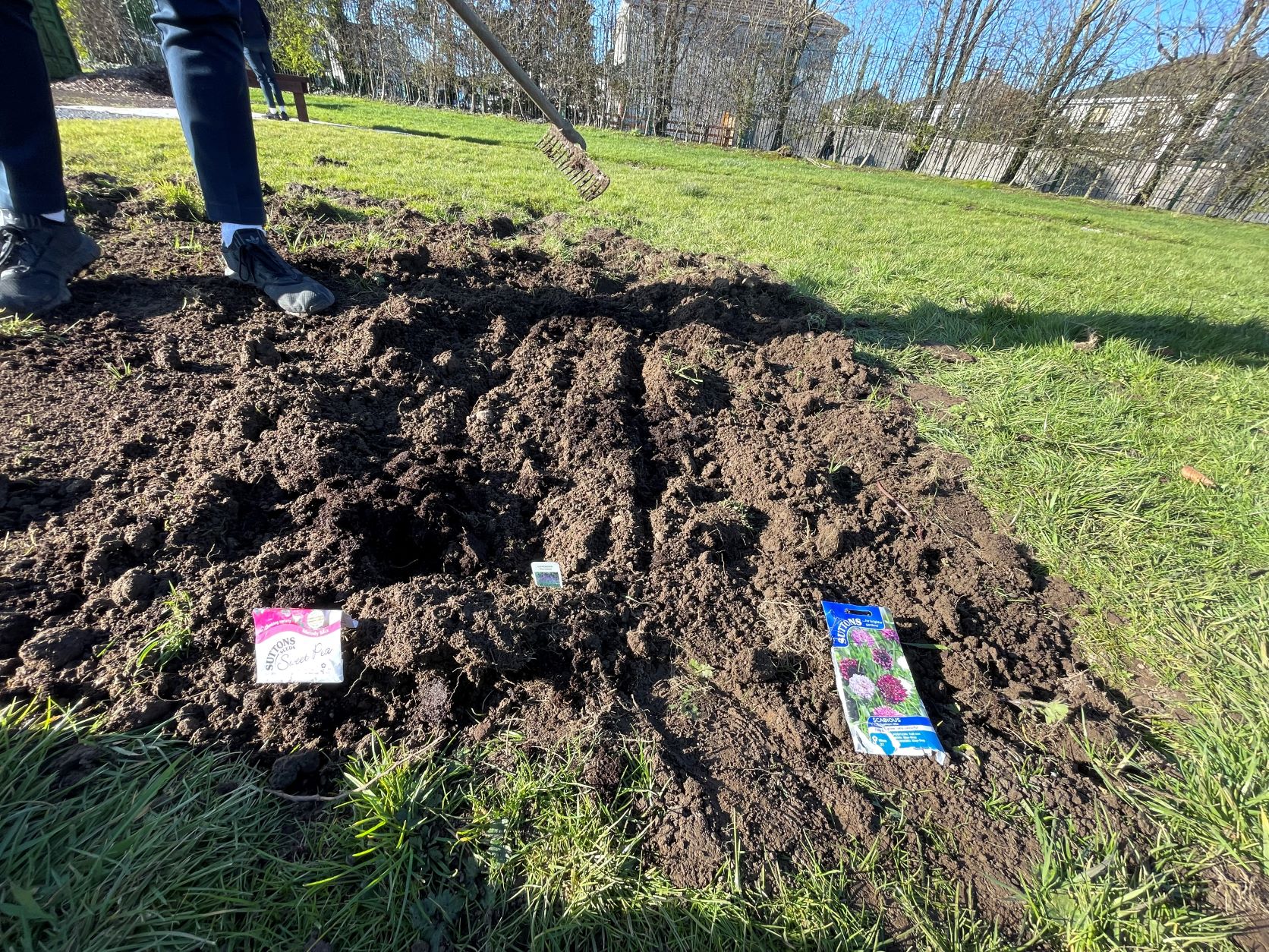 The first signs of spring at Nenagh College!! – Nenagh College