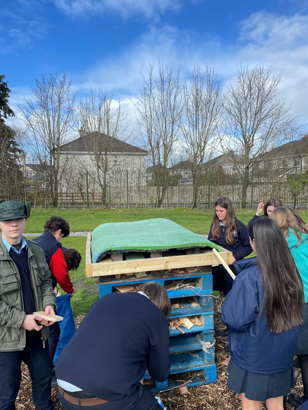 The first signs of spring at Nenagh College!! – Nenagh College
