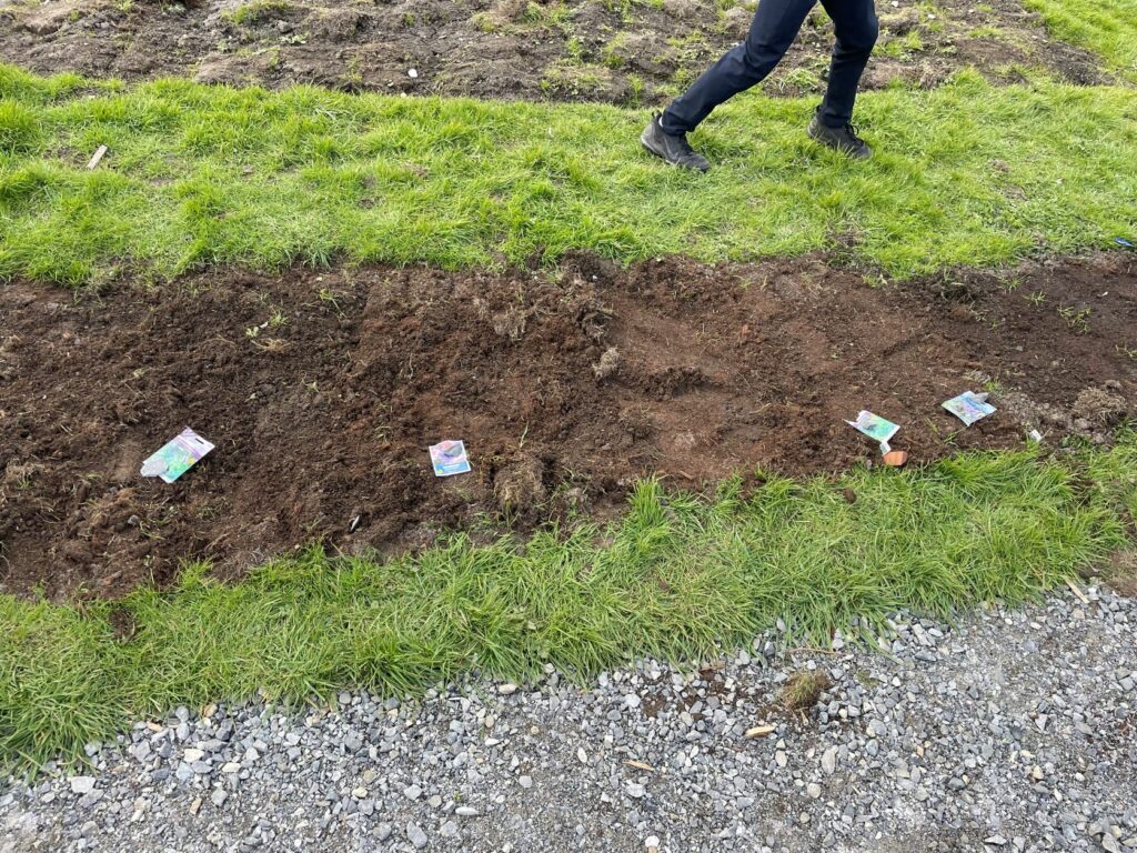 The first signs of spring at Nenagh College!! – Nenagh College