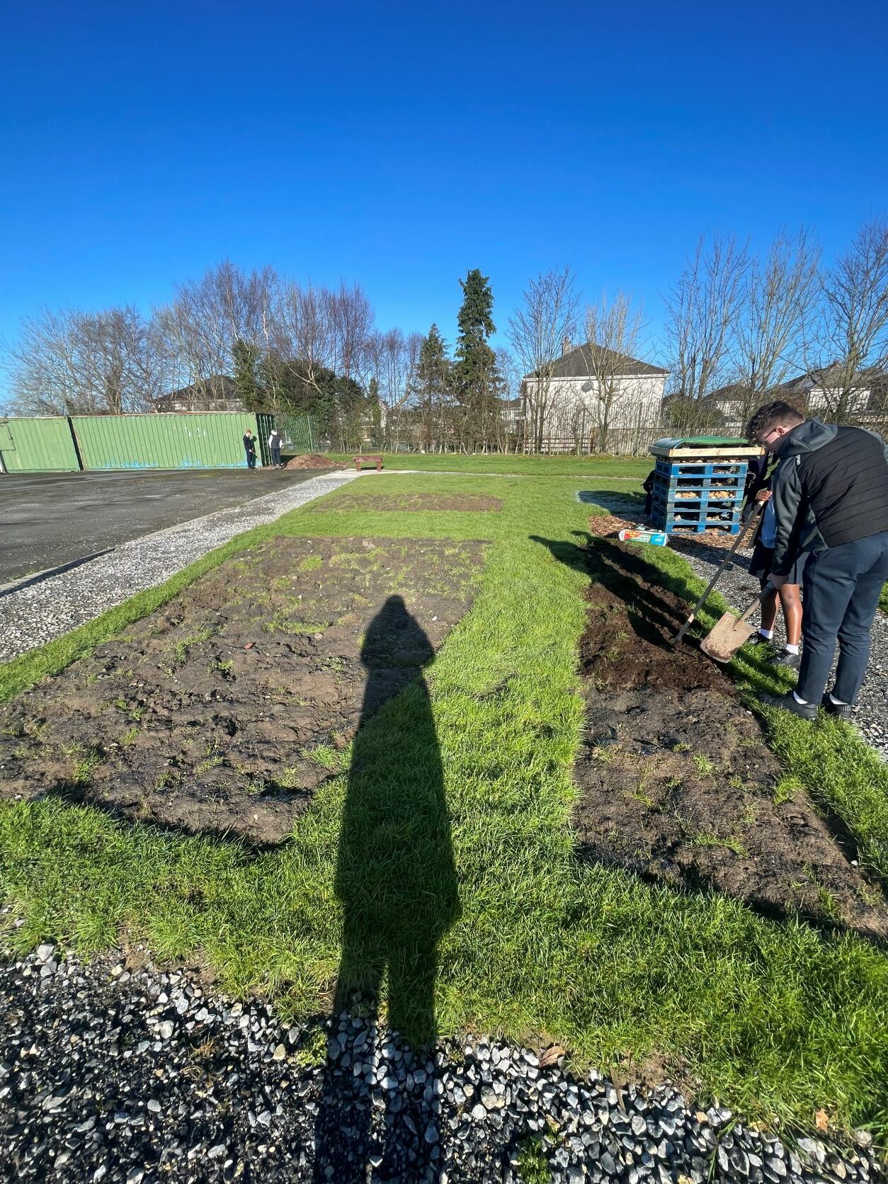 The first signs of spring at Nenagh College!! – Nenagh College