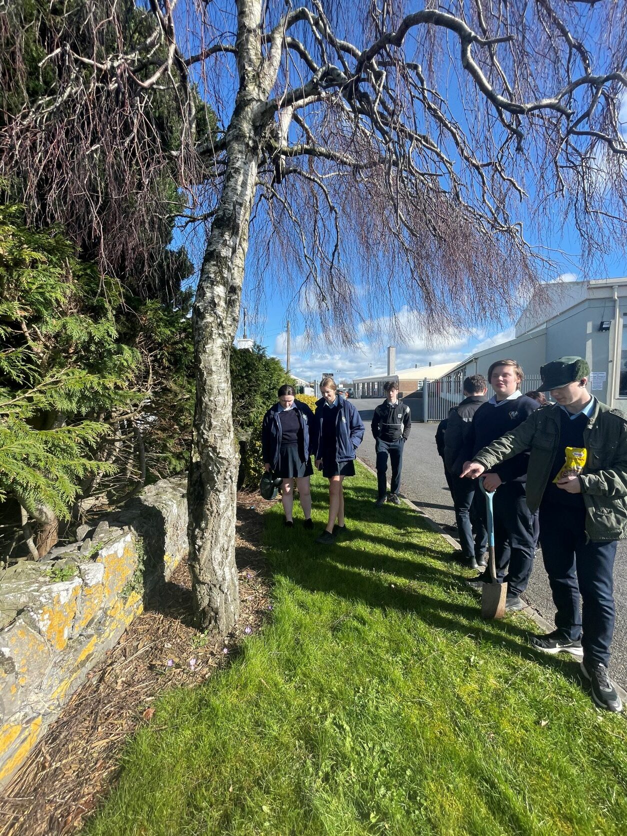 The first signs of spring at Nenagh College!! – Nenagh College