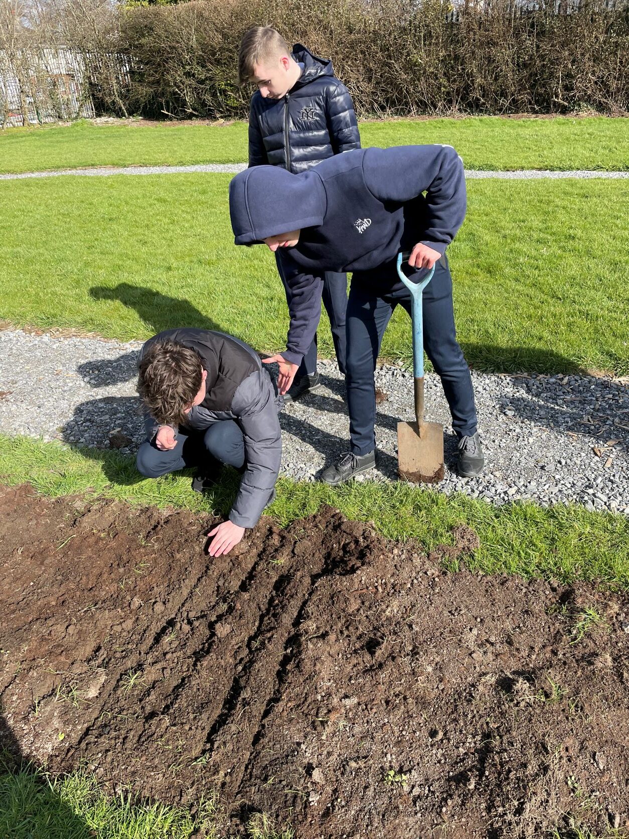 The first signs of spring at Nenagh College!! – Nenagh College