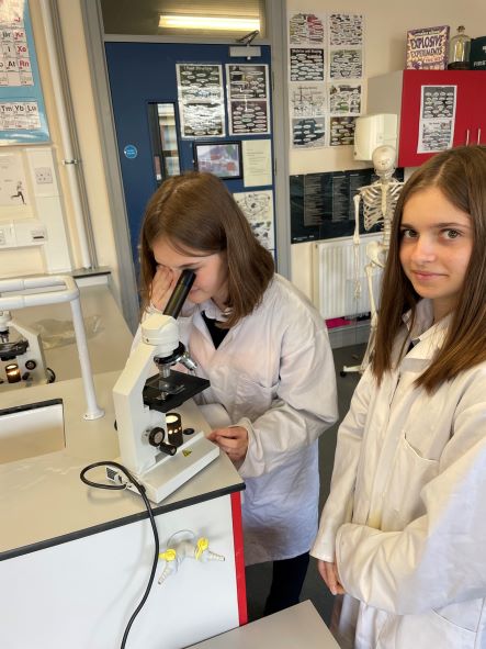 Science Lab Work – Nenagh College