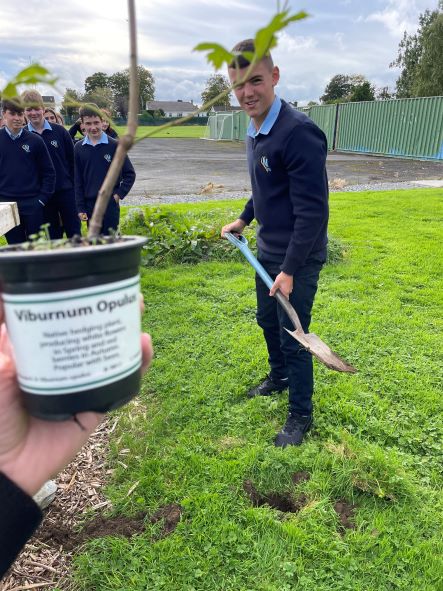 Tree planting – Nenagh College