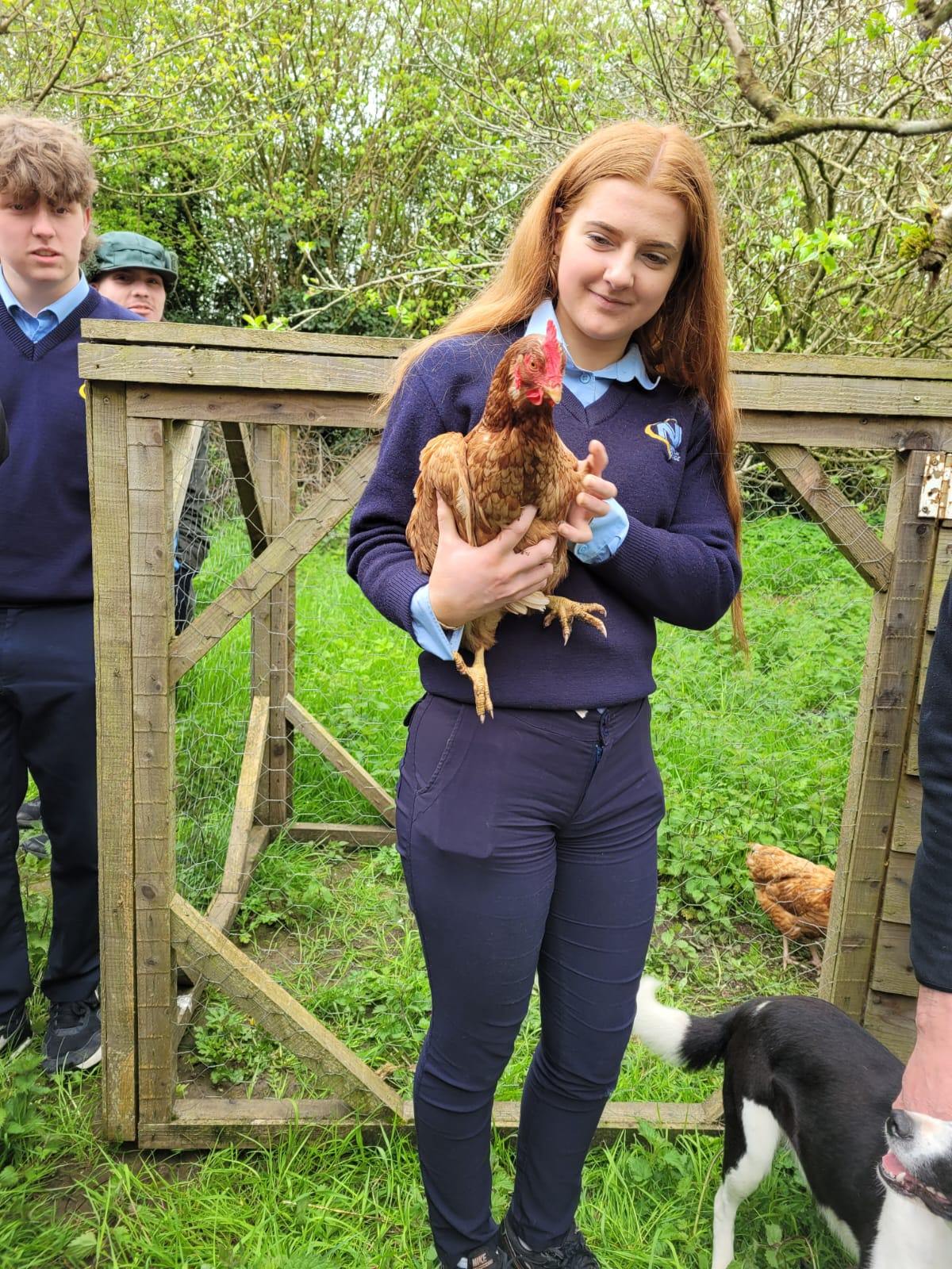 5th Year LCVP – Nenagh College