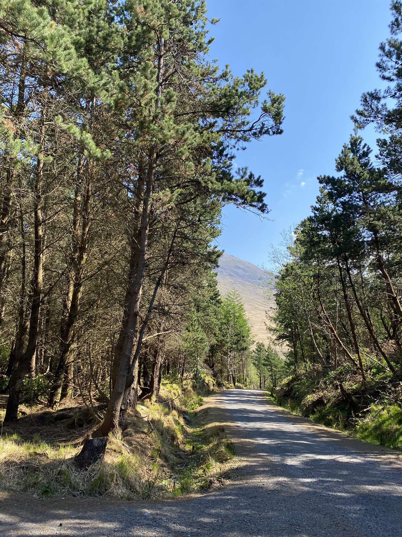 Delphi Adventure Centre – Nenagh College