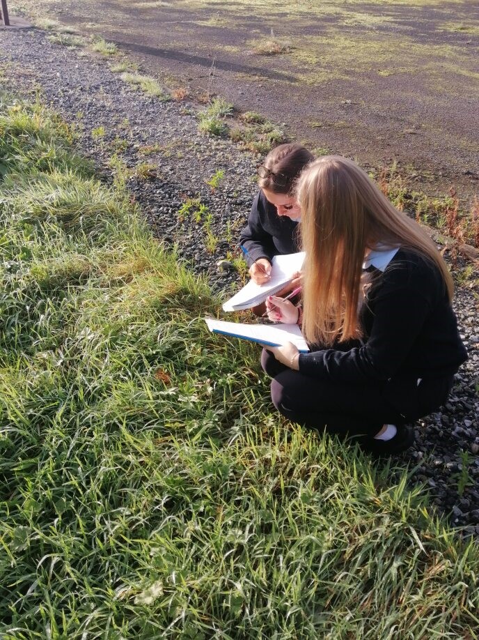5th year Agricultural Science – Nenagh College