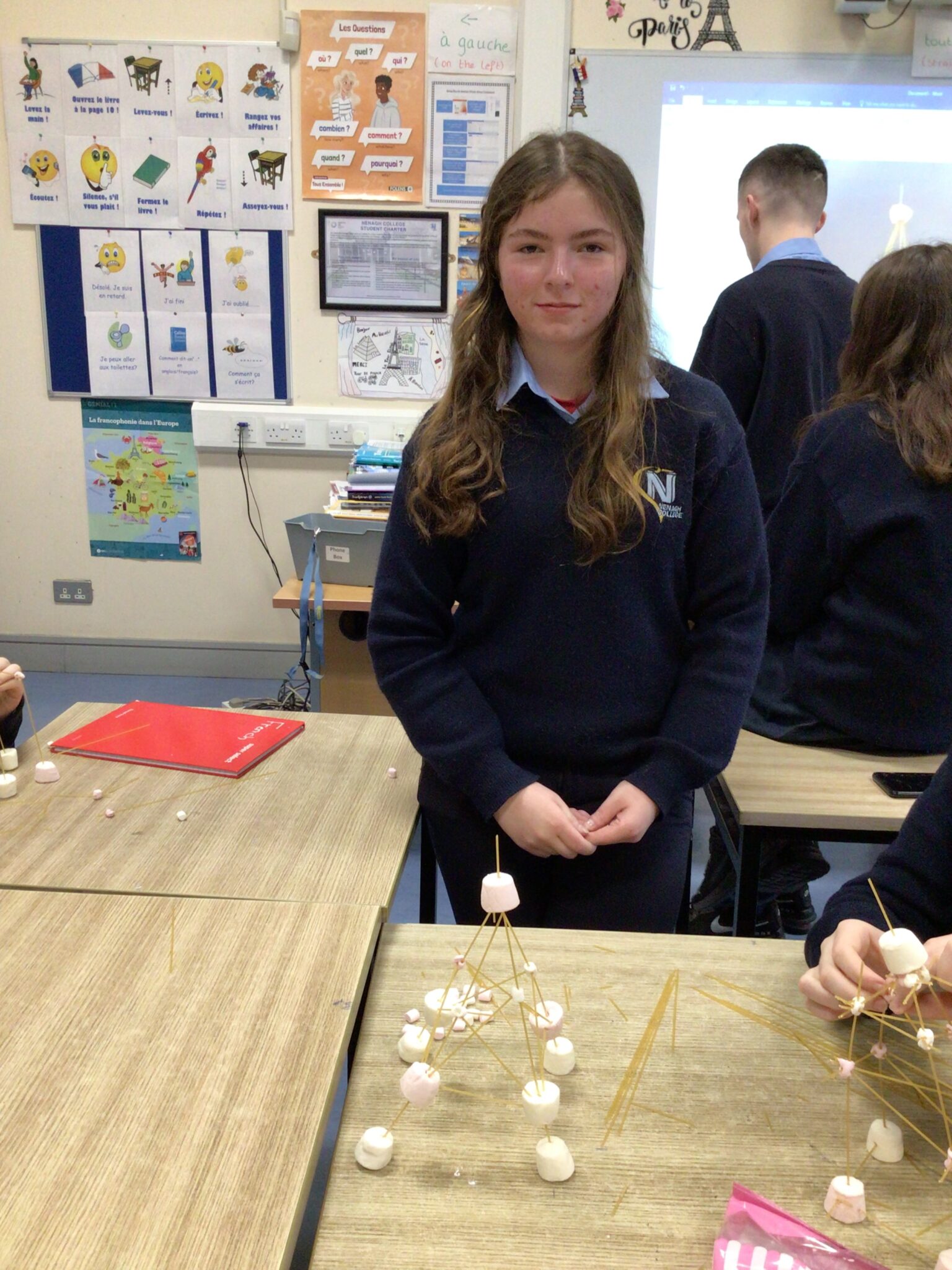 French Week – Nenagh College