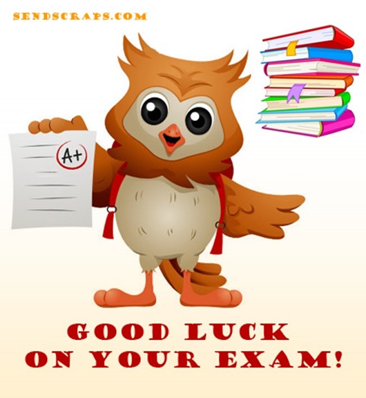 Best of Luck Class of 2024! – Nenagh College